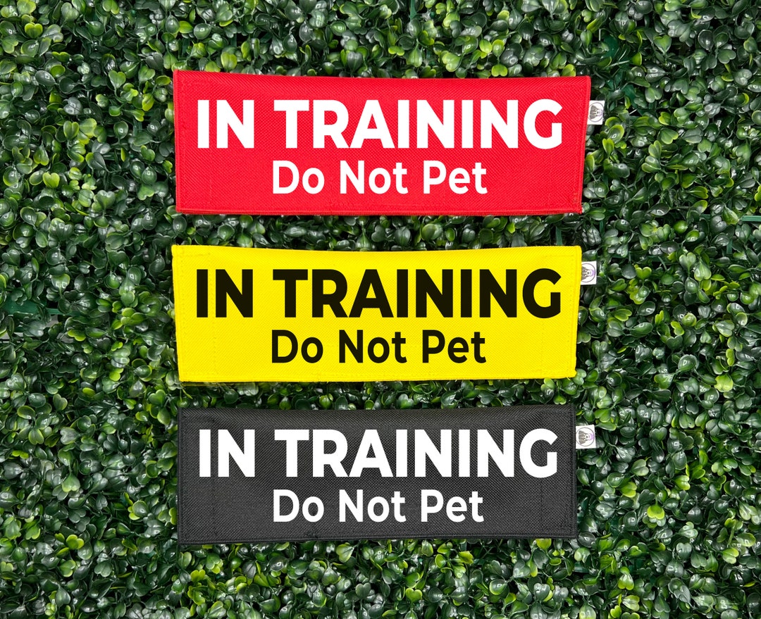In Training - Do Not Pet | Dog Leash Sleeve | Lead Cover | Leash Sign ...