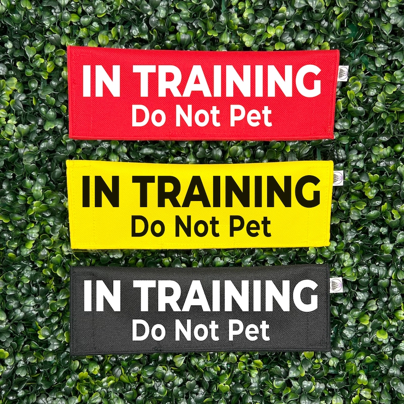 In Training Sign - Etsy