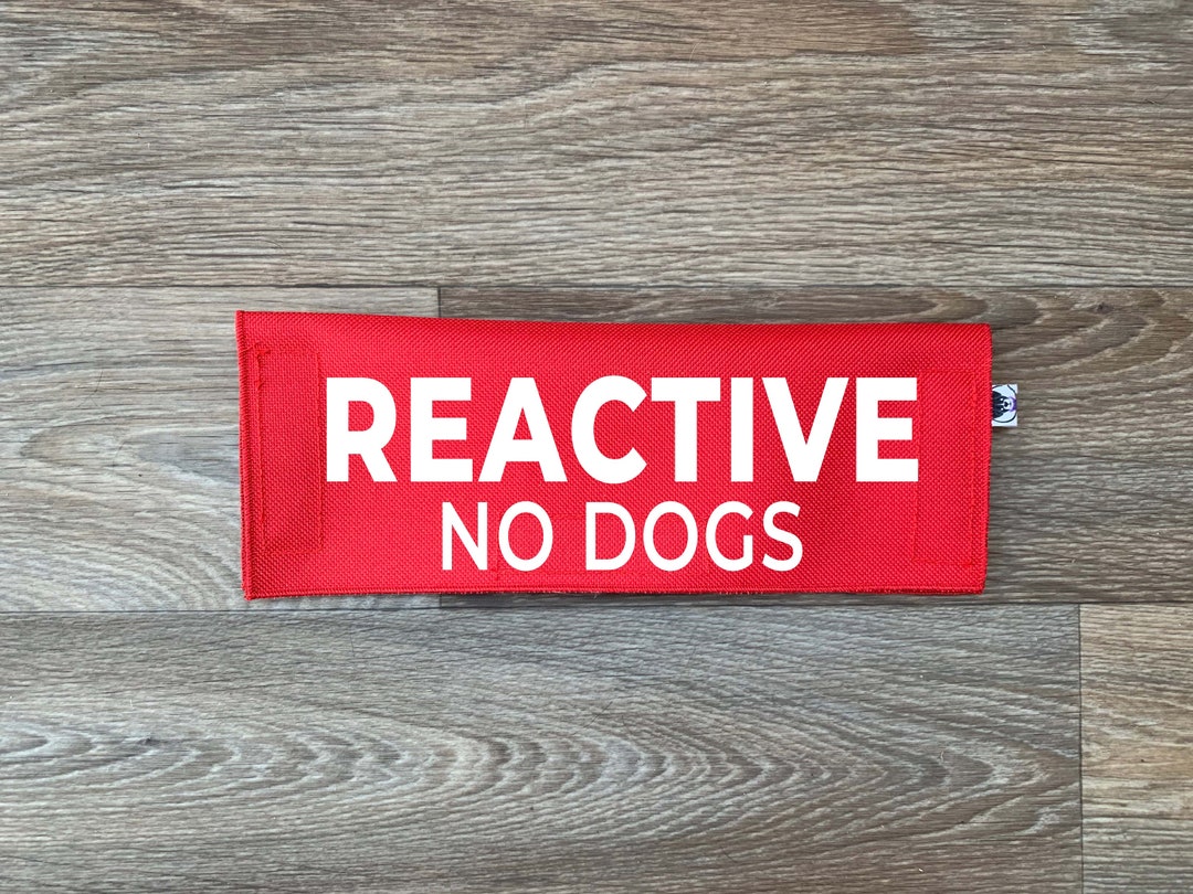 Dog Leash Sleeve | Reactive No Dogs | Lead Cover - Etsy