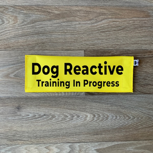 Training in Progress Sign - Etsy