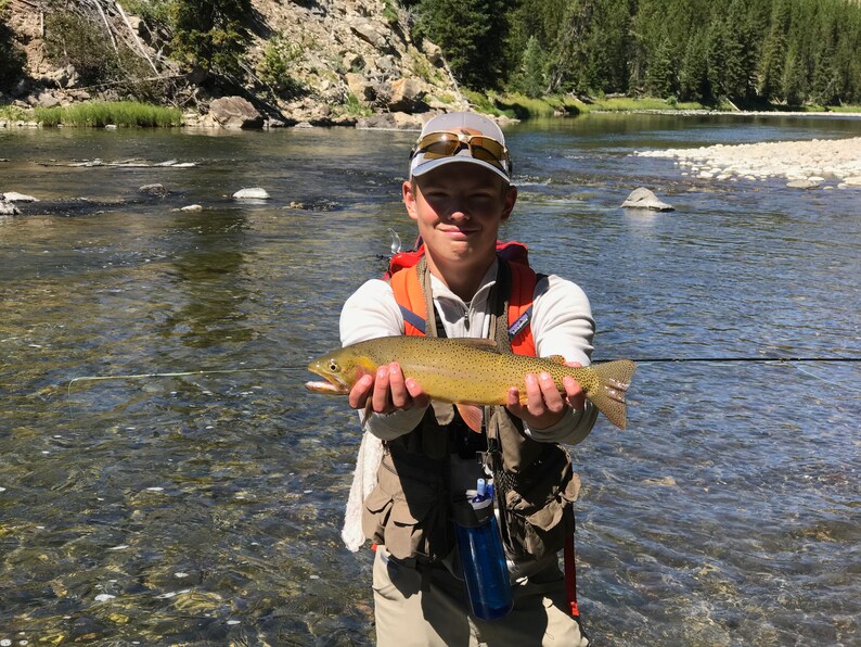 Purple Chubby Chernobyl Dry Flies - Etsy
