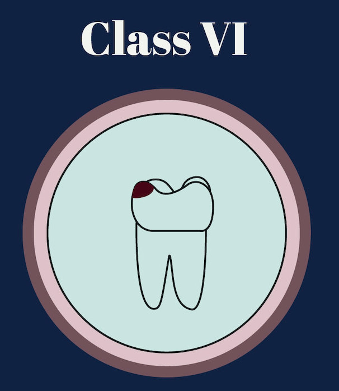 Tooth Numbering System Diagram Svg Png Jpeg Ai Pdf Dental Dentistry Jaw ...