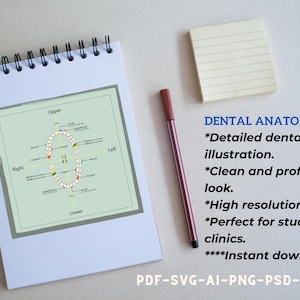 Dental Charting Guide, Teeth Parts Guide Charting, Dental Student ...