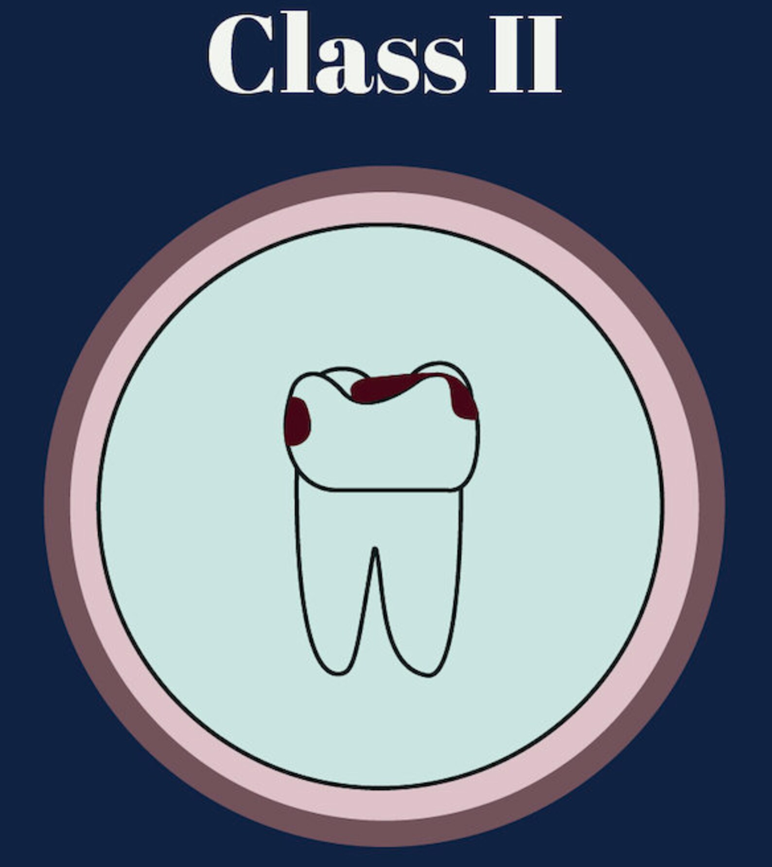 Tooth Numbering System Diagram Svg Png Jpeg Ai Pdf Dental Dentistry Jaw