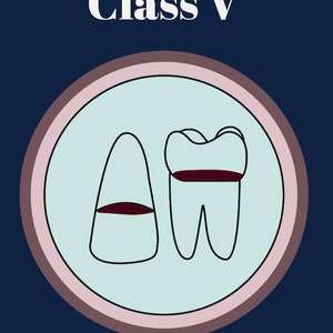 Tooth Numbering System Diagram Svg Png Jpeg Ai Pdf Dental Dentistry Jaw ...