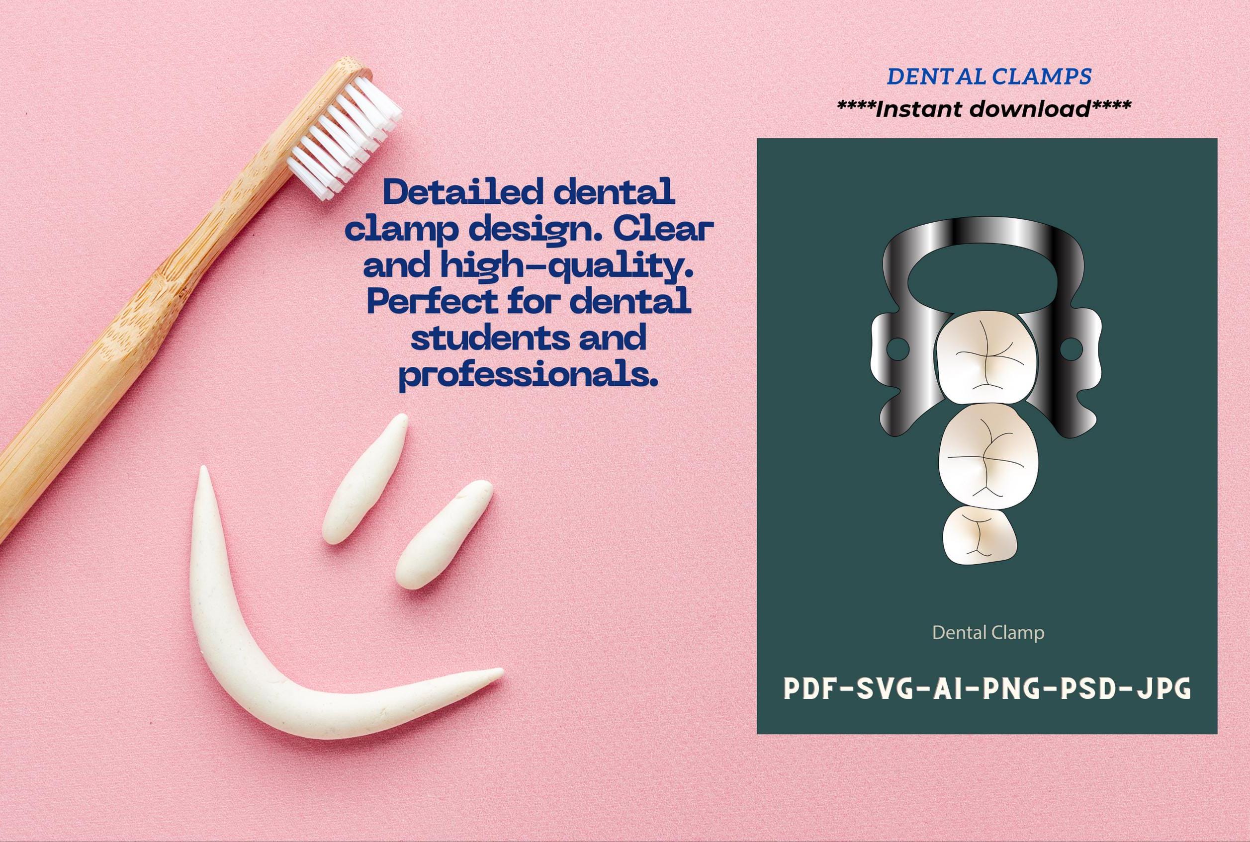 Dental Charting Guide, Rubber Dam Dental Clamps, Dental Student Project ...