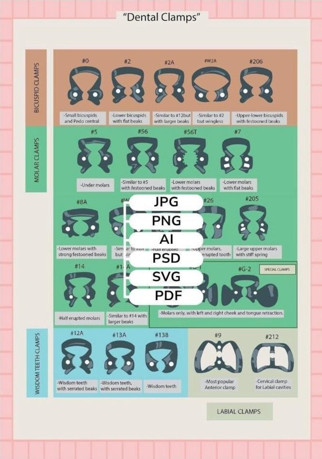 Rubber Dam Dental Clamps Guide, Dental Student, Dental Resources ...