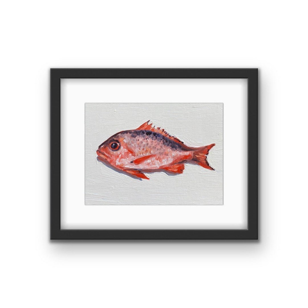 Red Snapper Framed Print With Mat Red Snapper Fish Art Red Fish Print ...