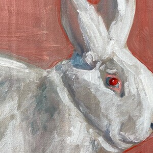 White Rabbit Red Eyes Original Oil Painting on Canvas by Sarah - Etsy