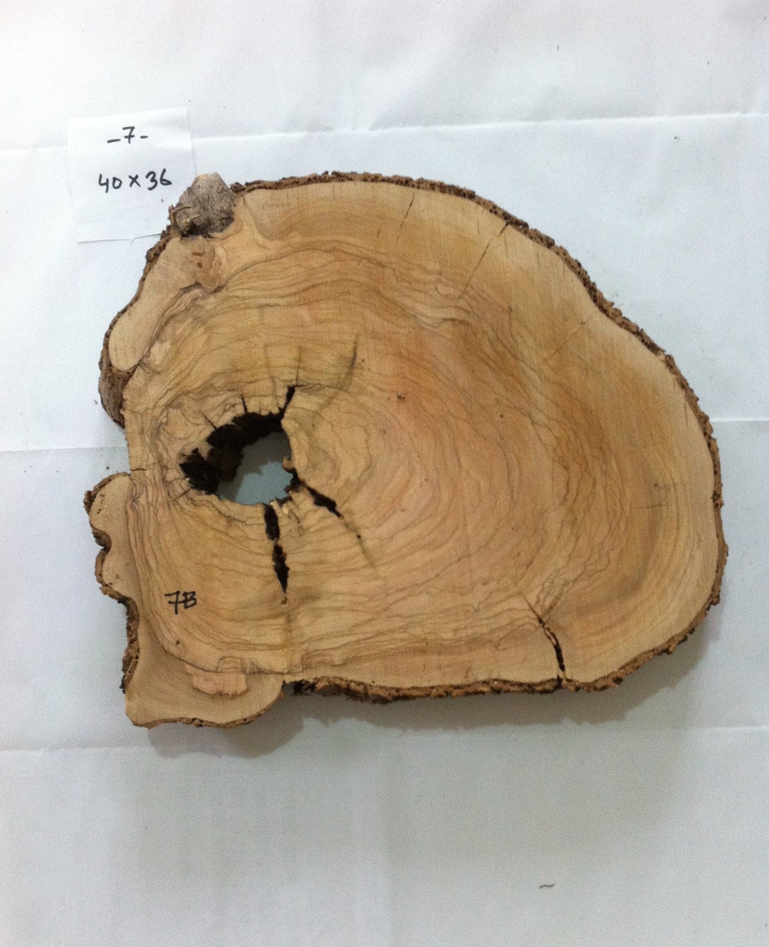16''x14''olive Wood Root Slice , Live Edge Olive Wood Slabs, Unfinished ...