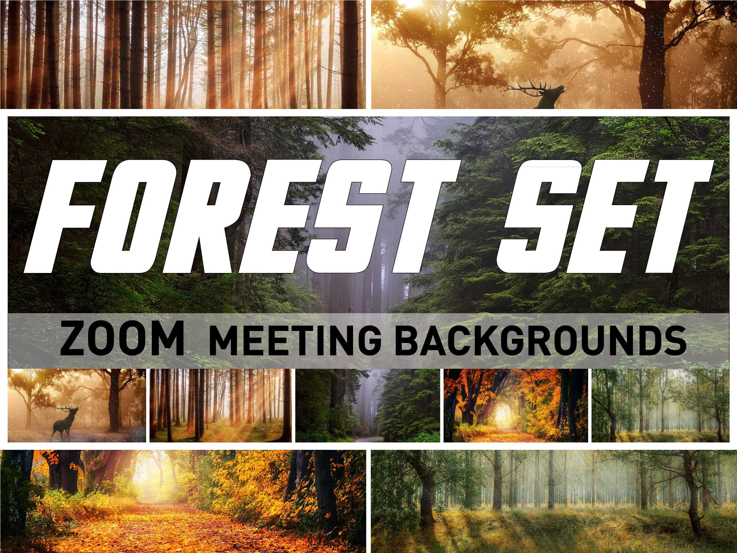 ZOOM BACKGROUND FOREST set.5 Hi_Res forest virtual background | Etsy