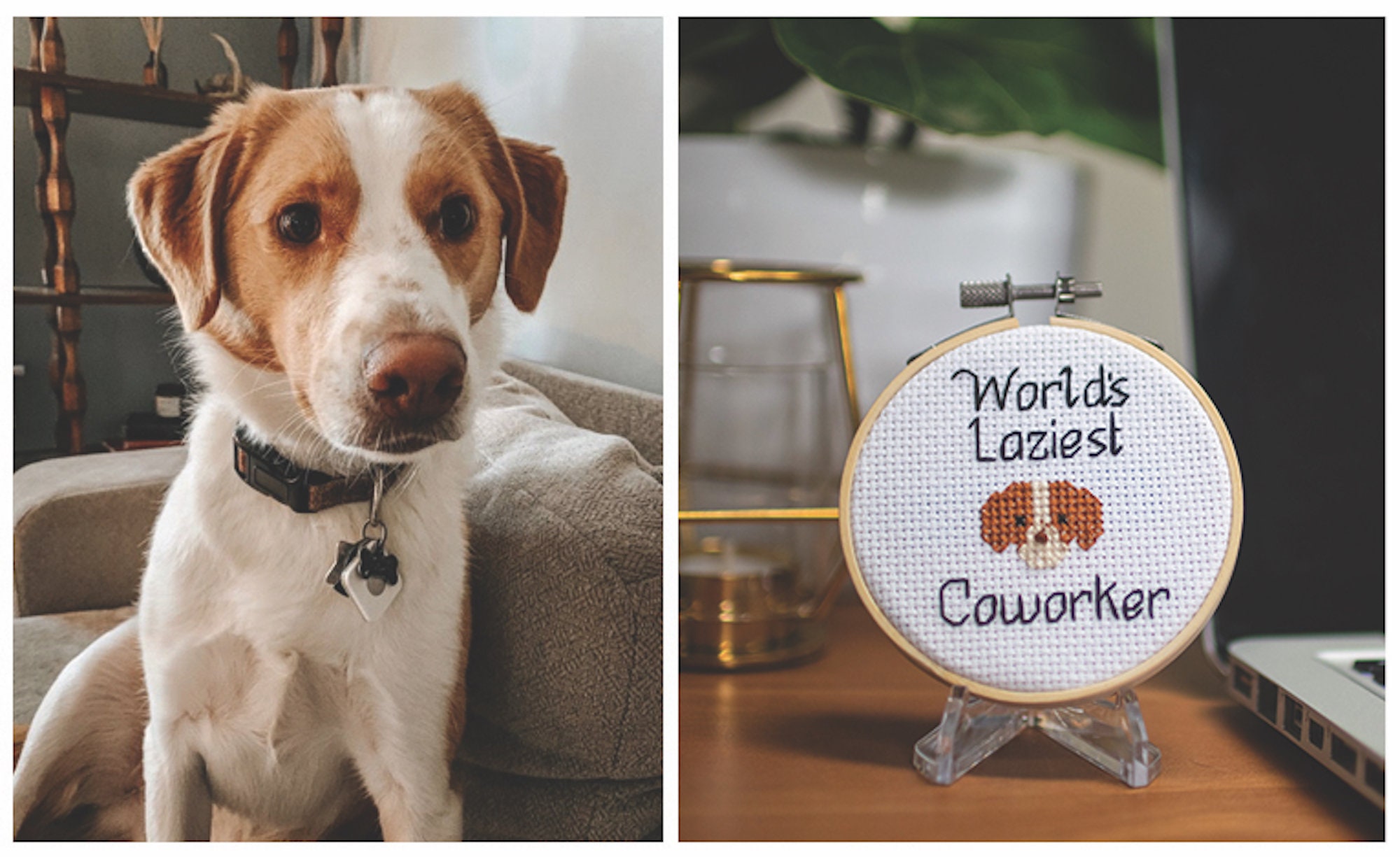Funny Custom Pet Portrait for Cubicle Decor | Unique Funny Dog and Cat ...