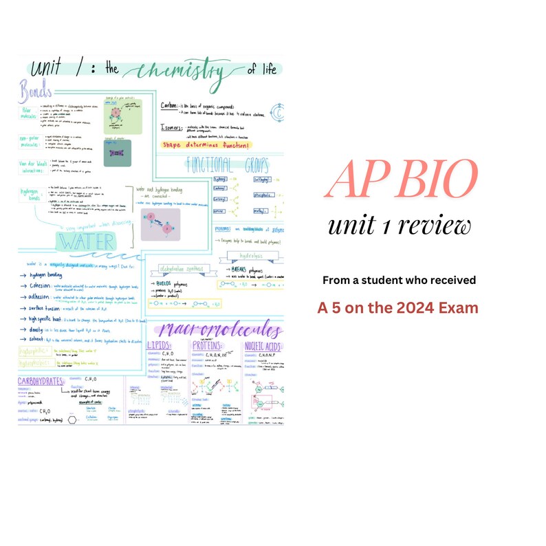 AP BIOLOGY Unit 1 Study Guide From a Student Who Received a 5, Ap Bio ...