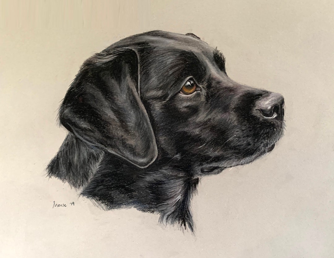 Custom Dog Portraits, Portrait Commissions, Bespoke Drawing, Pastel ...