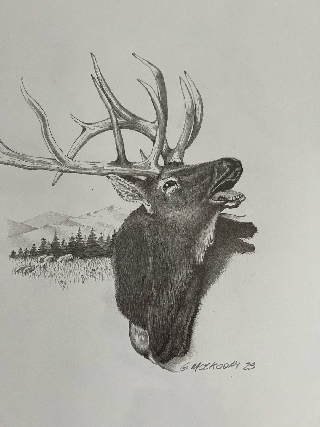 Original Pencil Drawing Yellowstone Elk Wildlife Drawing Original Art ...