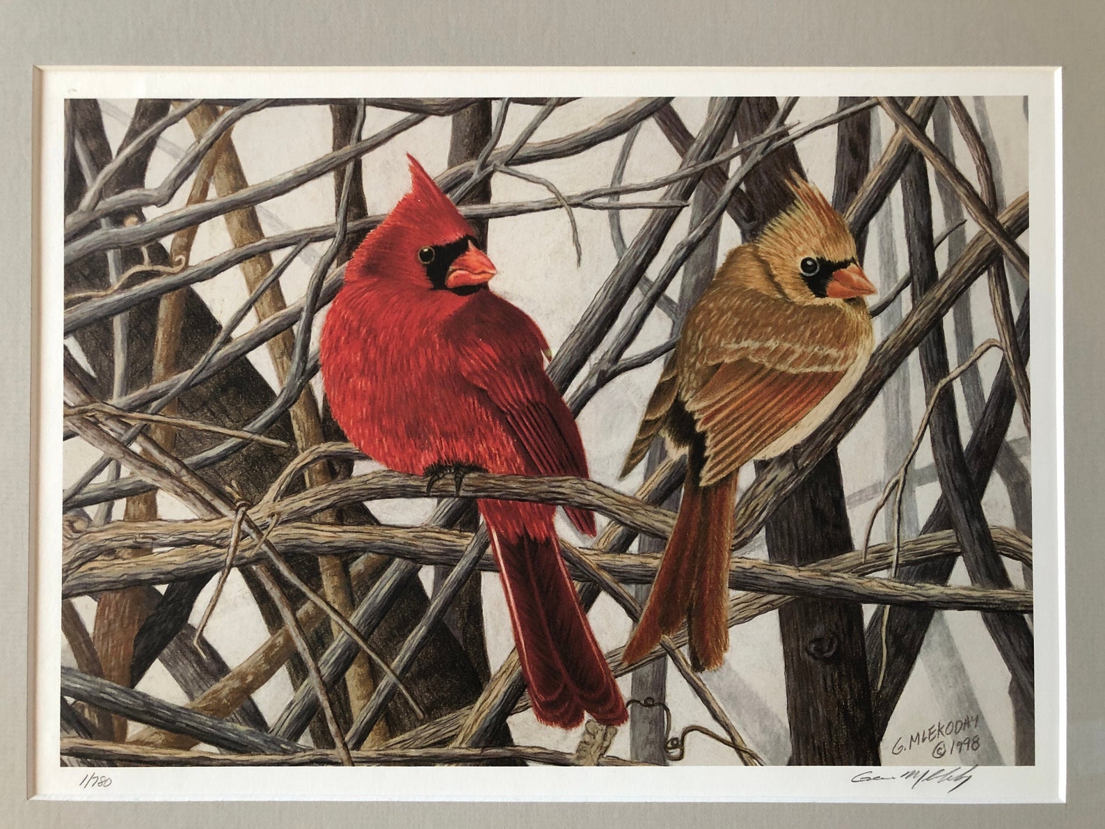 Winter Warriors Cardinal Colored Pencil Print - Etsy