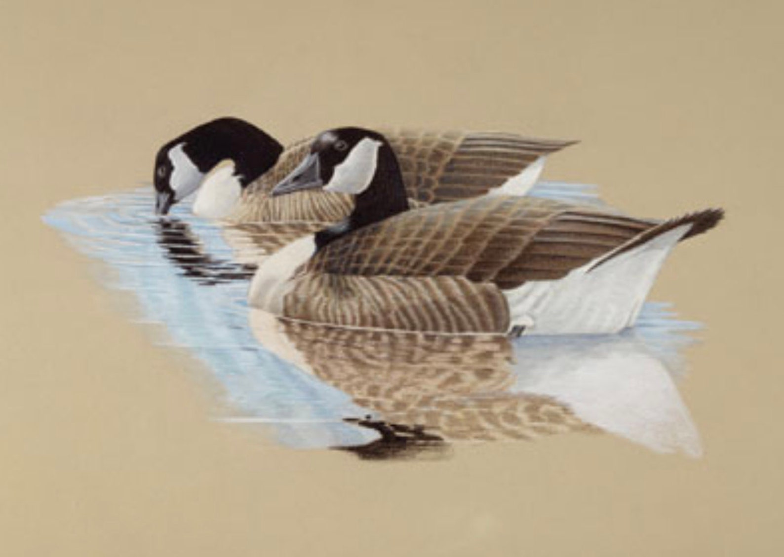 Geese Colored Pencil Print - Etsy