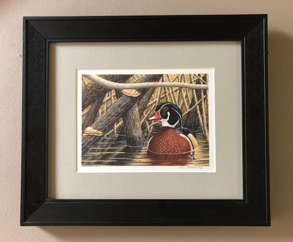 Wood Duck Pencil Drawing Wood Duck 8x10 Print Matted Duck On Water
