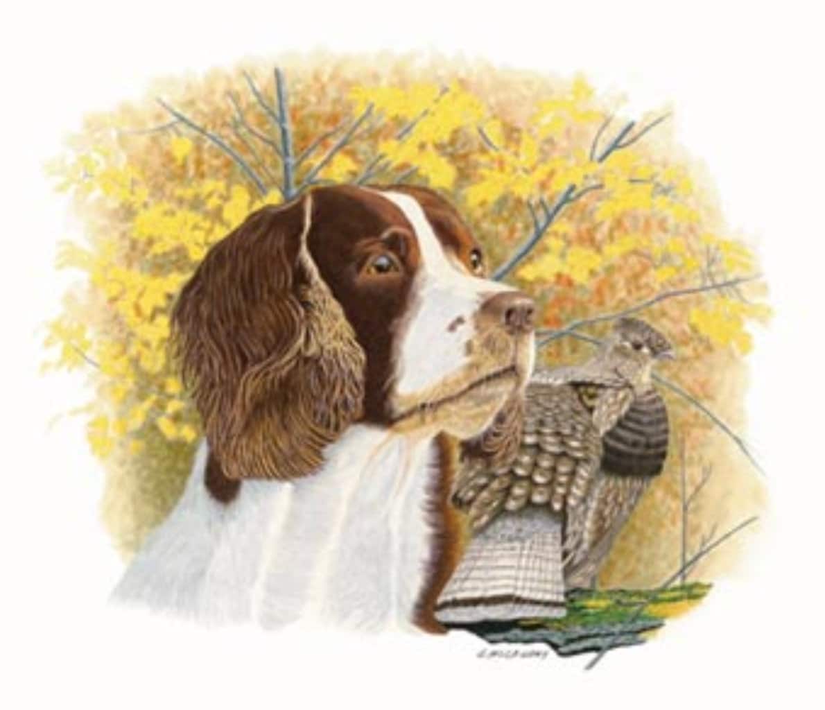 Brittany Spaniel Colored Pencil Print - Etsy