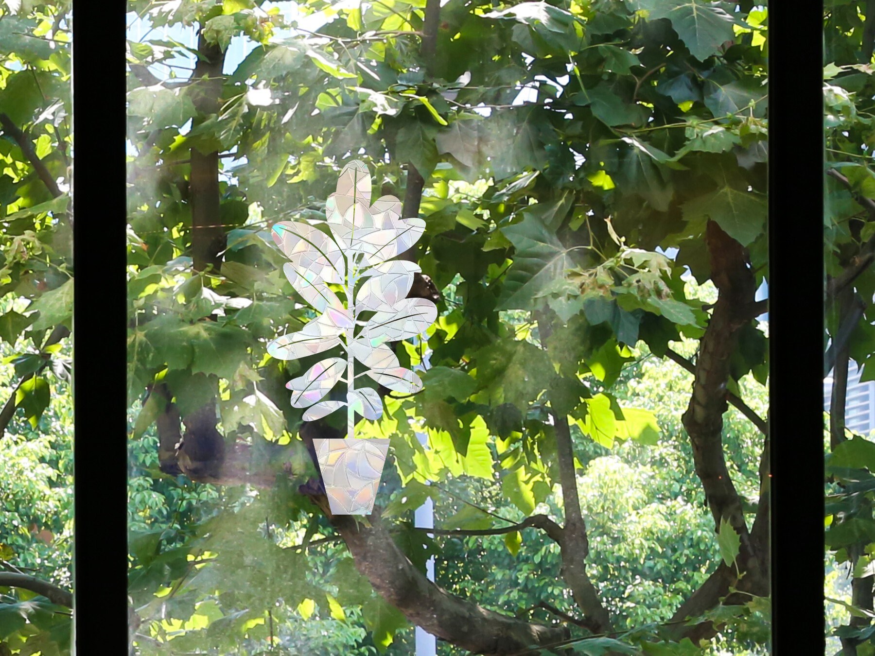 Rubber Tree Plant Suncatcher Sticker Rubber Tree in Pot - Etsy