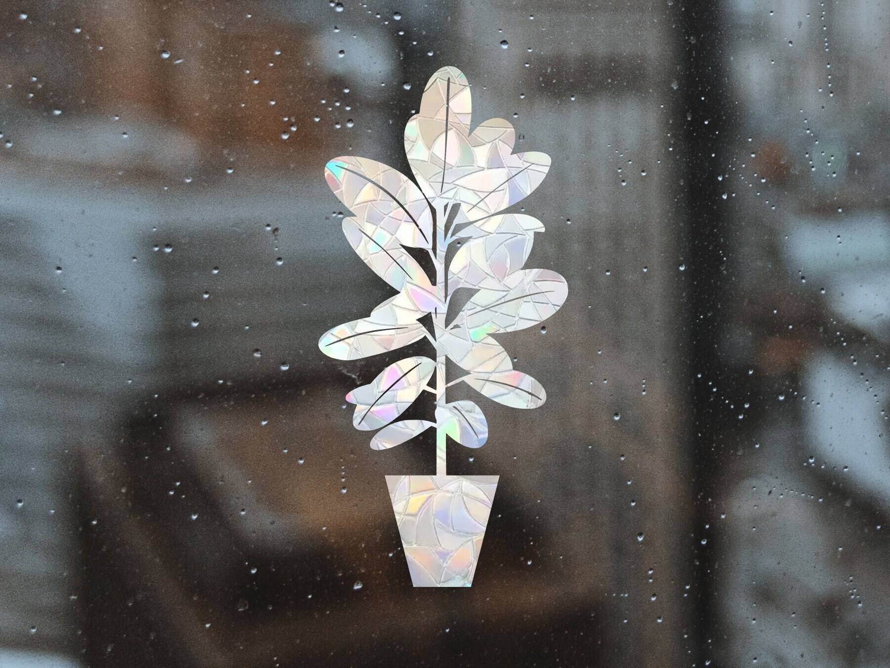 Rubber Tree Plant Suncatcher Sticker Rubber Tree in Pot - Etsy