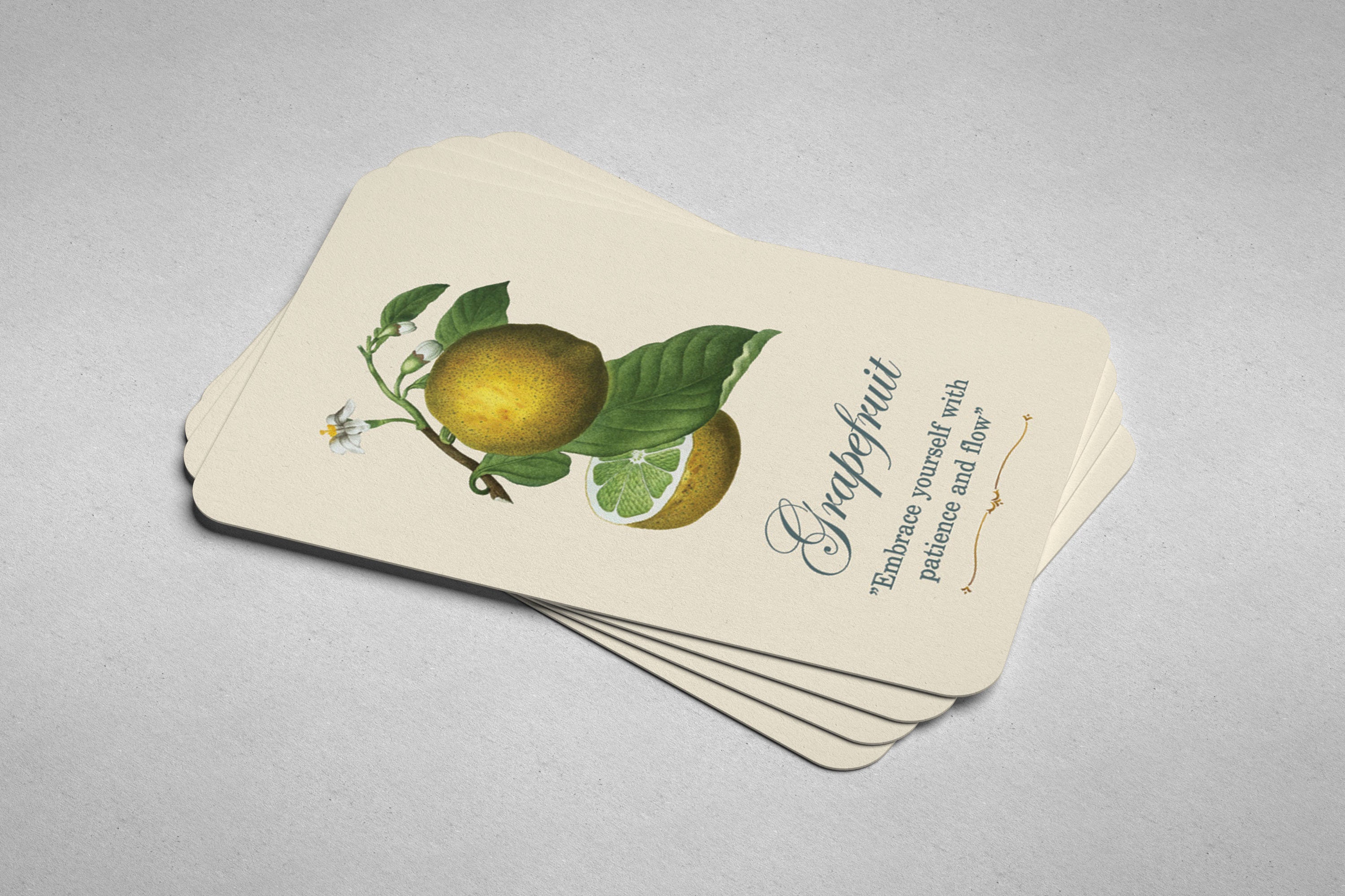 Witch Oracle Plants Deck - Discover the Real Secrets of Botanical Magic ...
