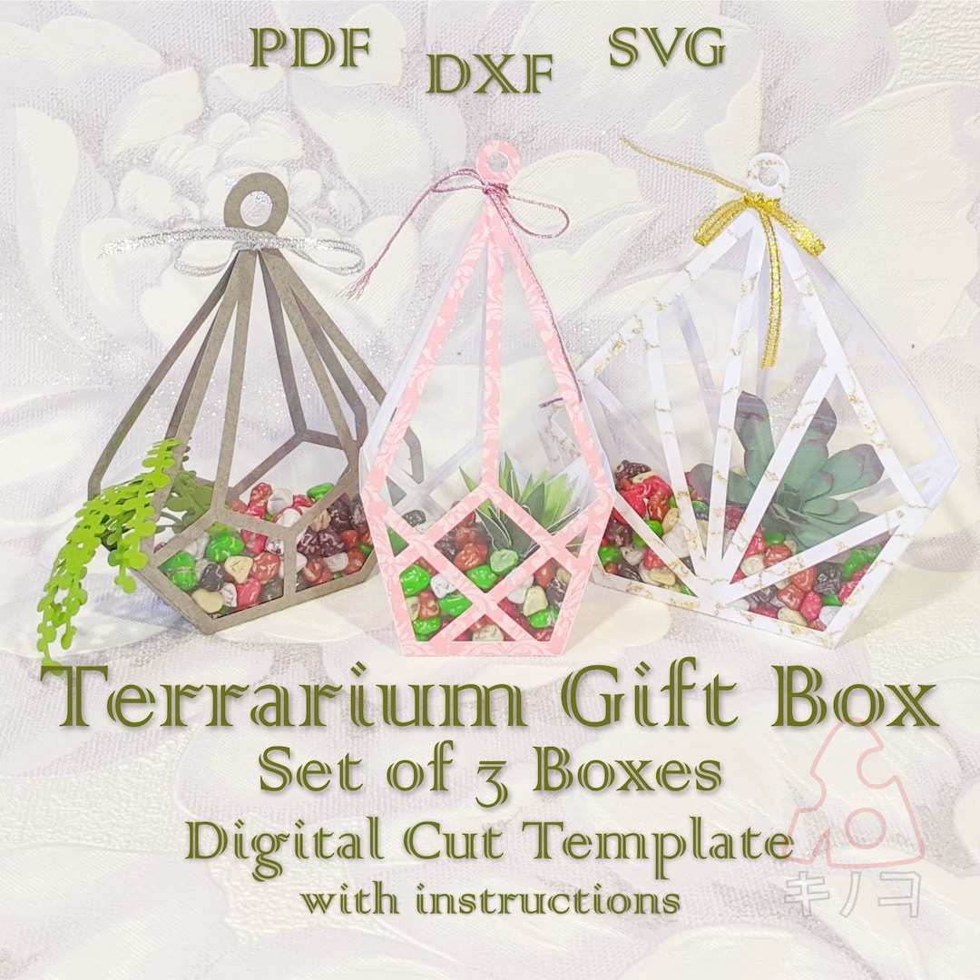 Terrarium Gift Box, Florarium Decor Box, Succulent Festive Box, Favor ...