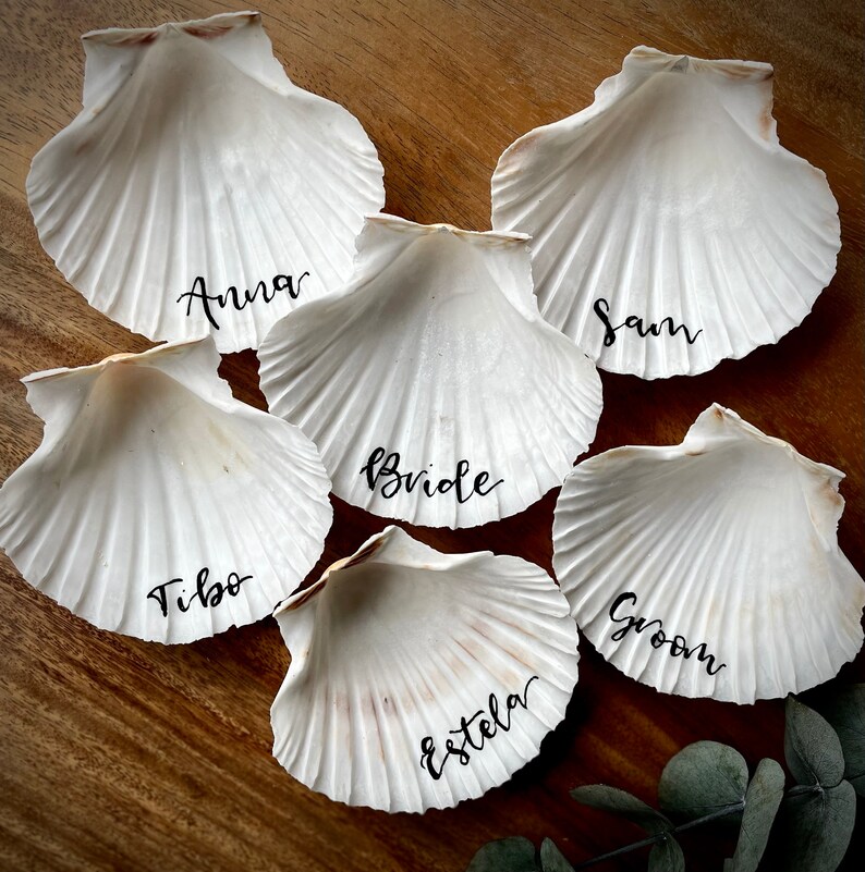 Handwritten Scallop Shell Place Names - Etsy