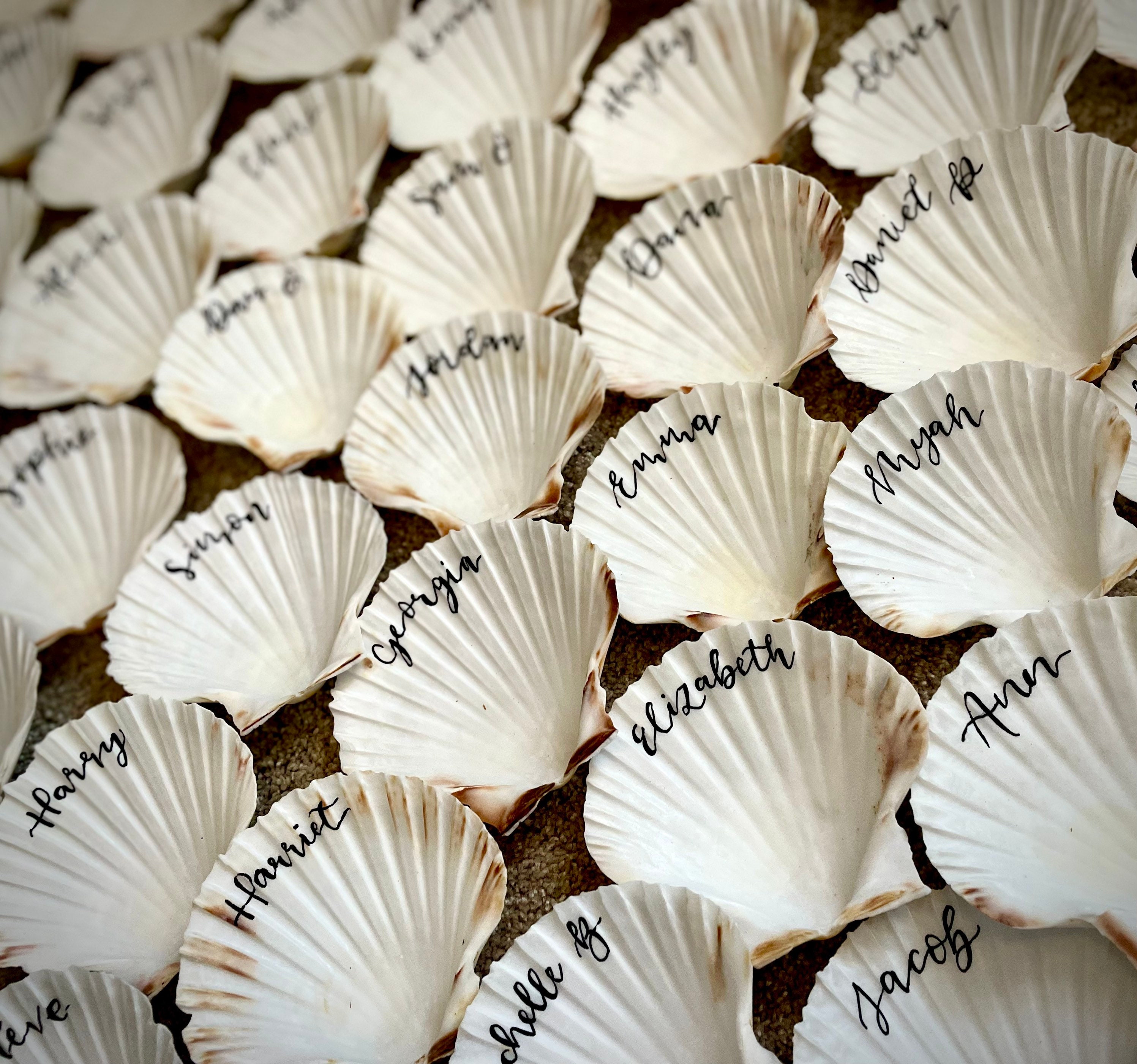 Handwritten Scallop Shell Place Names - Etsy UK