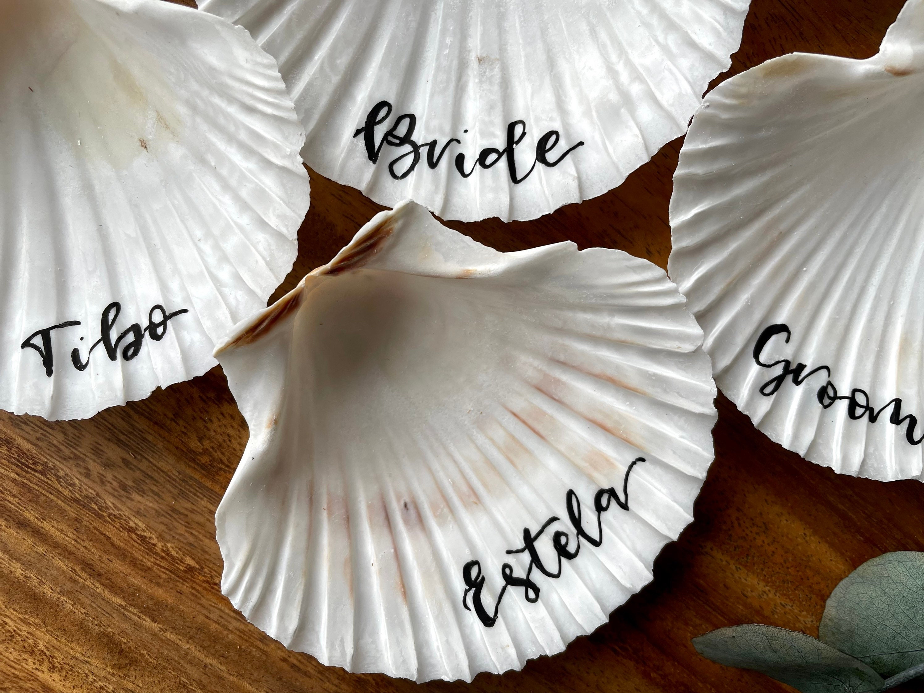 Handwritten Scallop Shell Place Names - Etsy UK