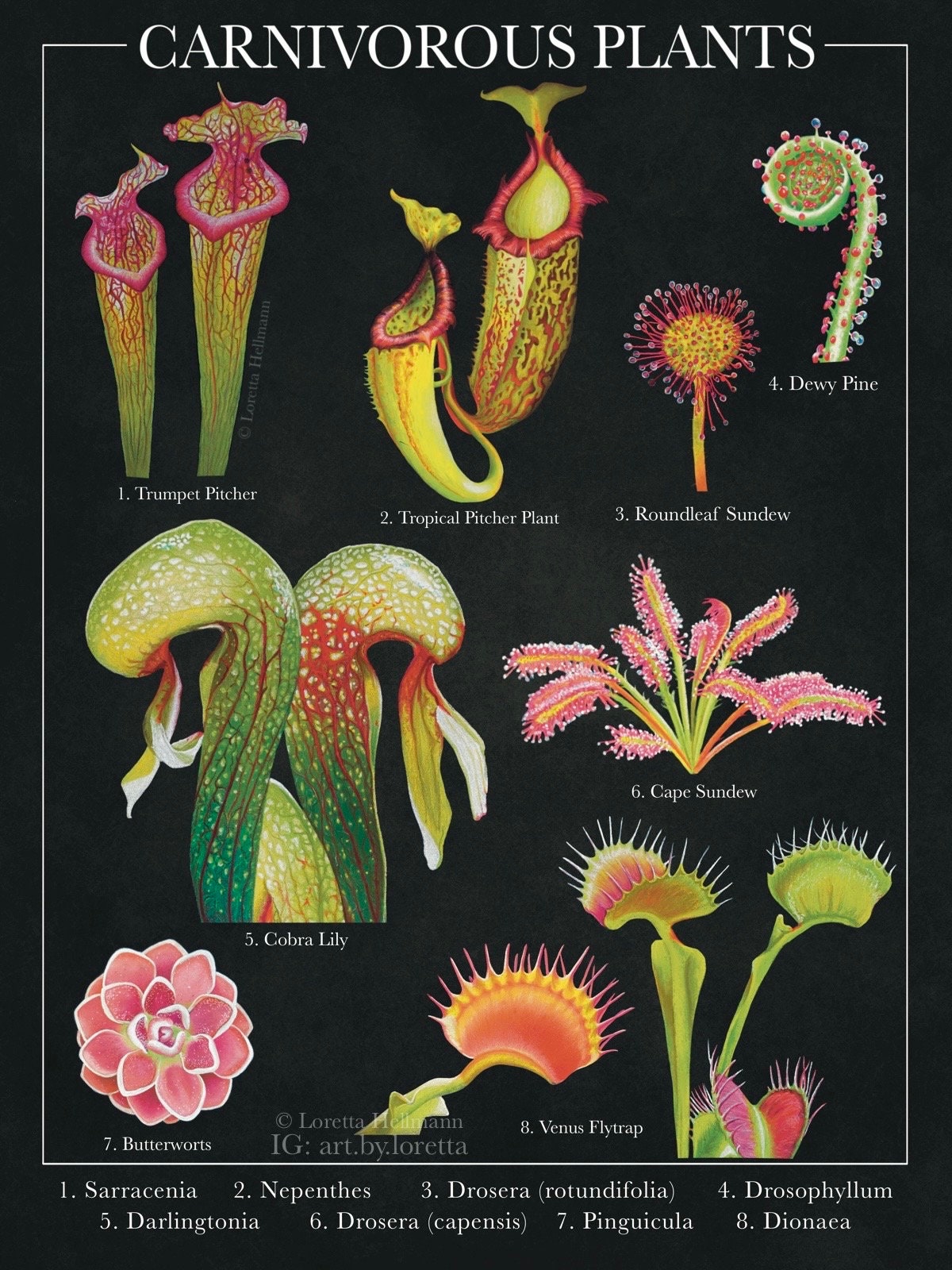 Carnivorous Plants Art Print | Plant Art | Moody Decor | Botanical Art ...