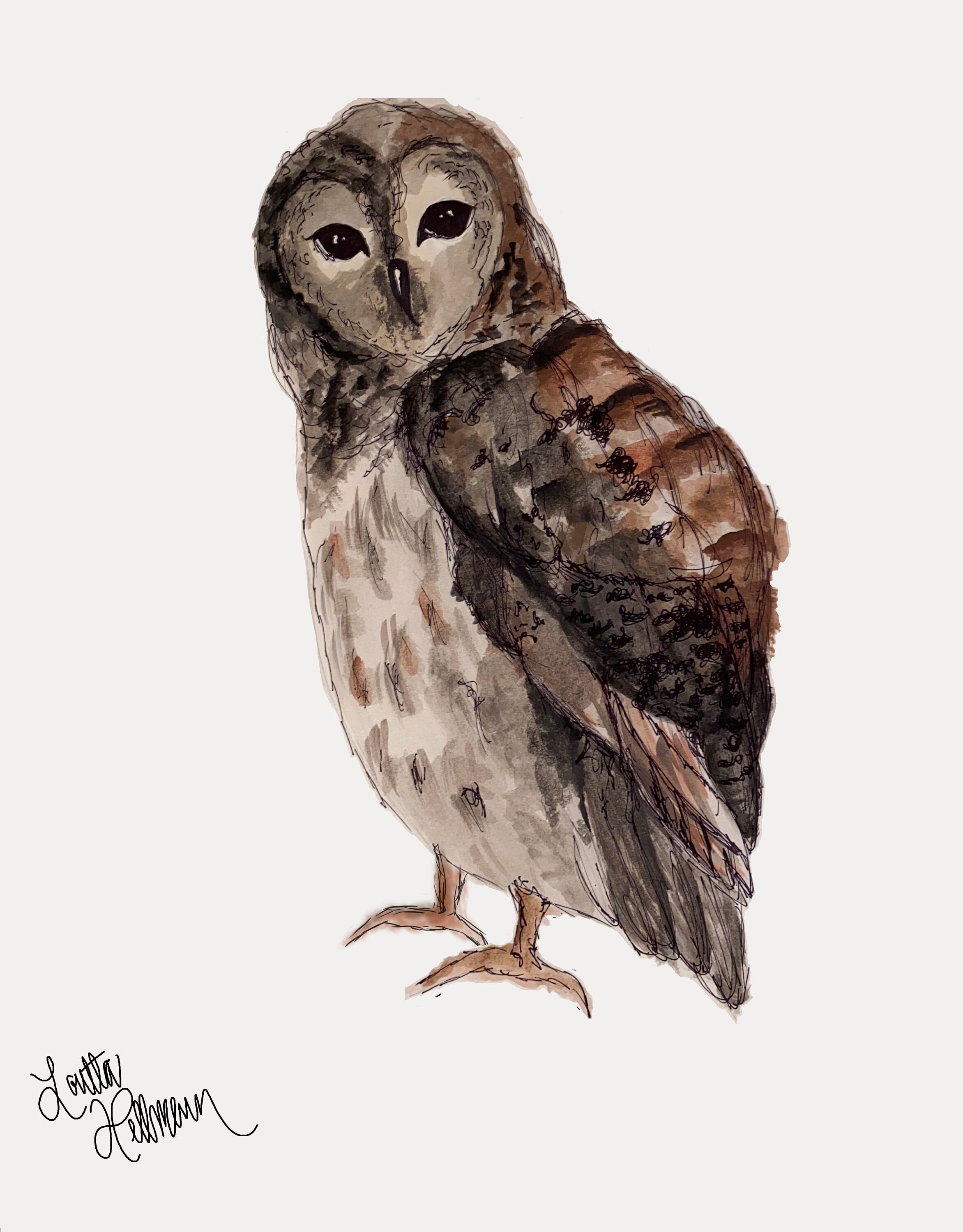 Owl Portrait Print Pen and Ink Watercolor - Etsy