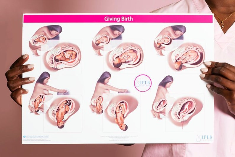 Chart 5 Giving Birth Etsy