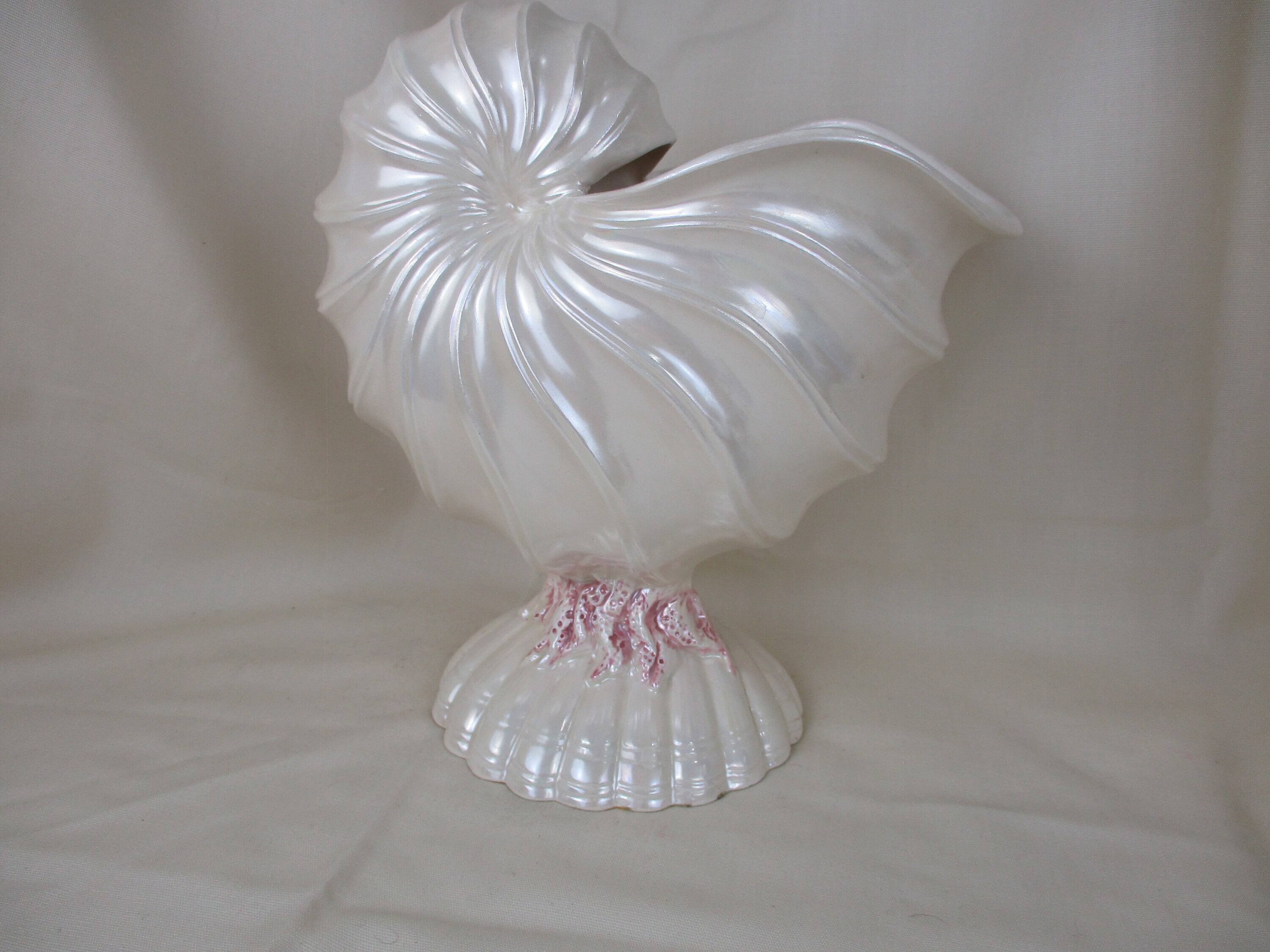 Marine Nautilus Shell Vase Seashell Coastal Decor Planter - Etsy