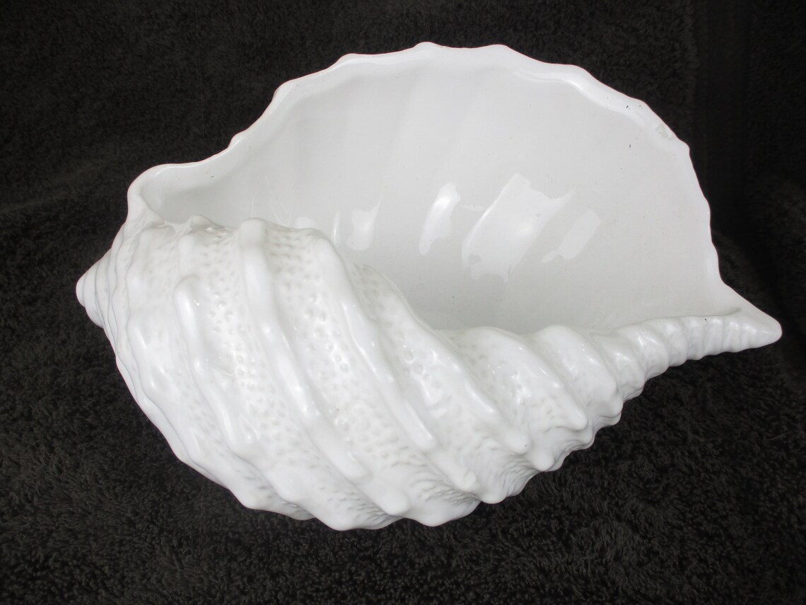 Marine Shell Vase, Seashell, Coastal Decor, Planter, White, Flower ...