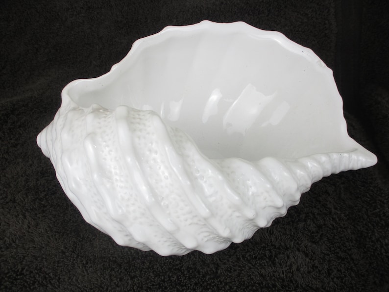 Marine Shell Vase, Seashell, Coastal Decor, Planter, White, Flower ...