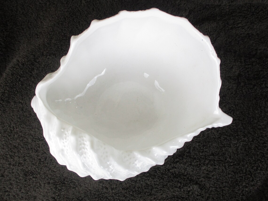 Marine Shell Vase, Seashell, Coastal Decor, Planter, White, Flower ...