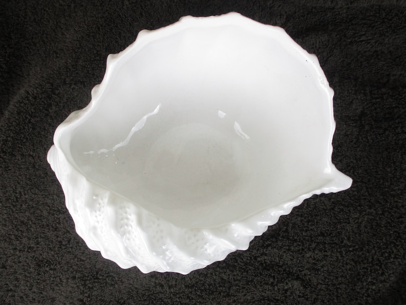 Marine Shell Vase, Seashell, Coastal Decor, Planter, White, Flower ...