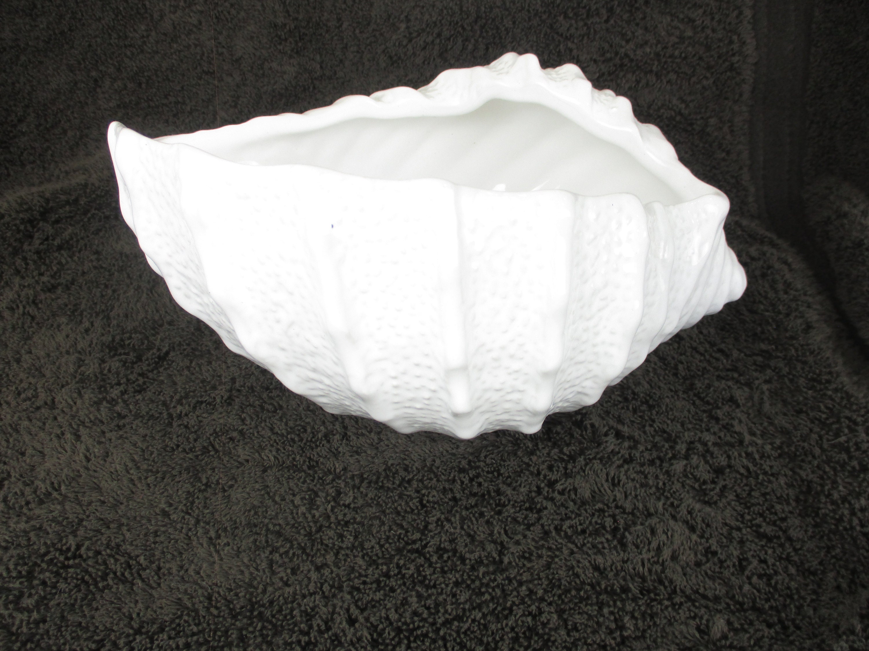 Marine Shell Vase, Seashell, Coastal Decor, Planter, White, Flower ...