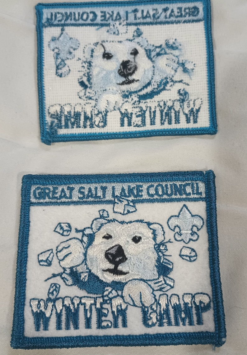 BSA Patches, Scouting, Scouts, Vintage Patches, Camp Tracy, Exploration ...