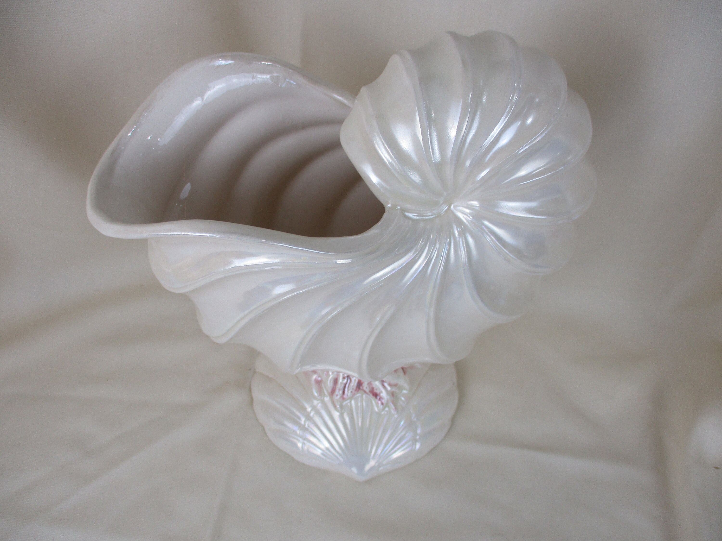 Marine Nautilus Shell Vase Seashell Coastal Decor Planter - Etsy