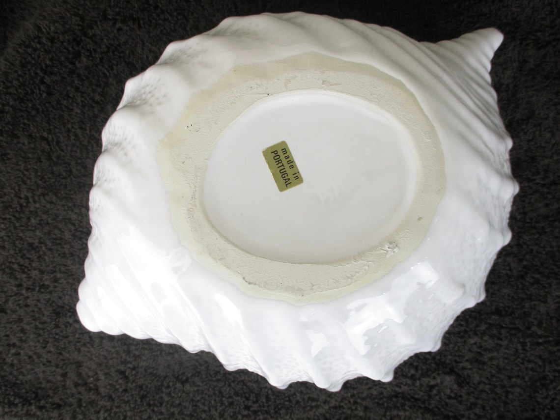 Marine Shell Vase, Seashell, Coastal Decor, Planter, White, Flower ...
