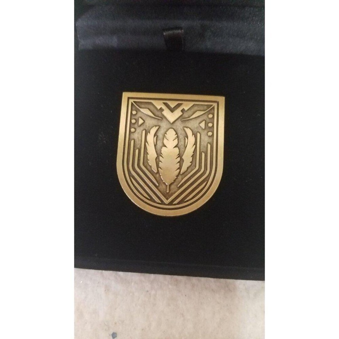 Destiny 2 Warden Seal Pin Bungie Rewards Medallion RARE RETIRED - Etsy