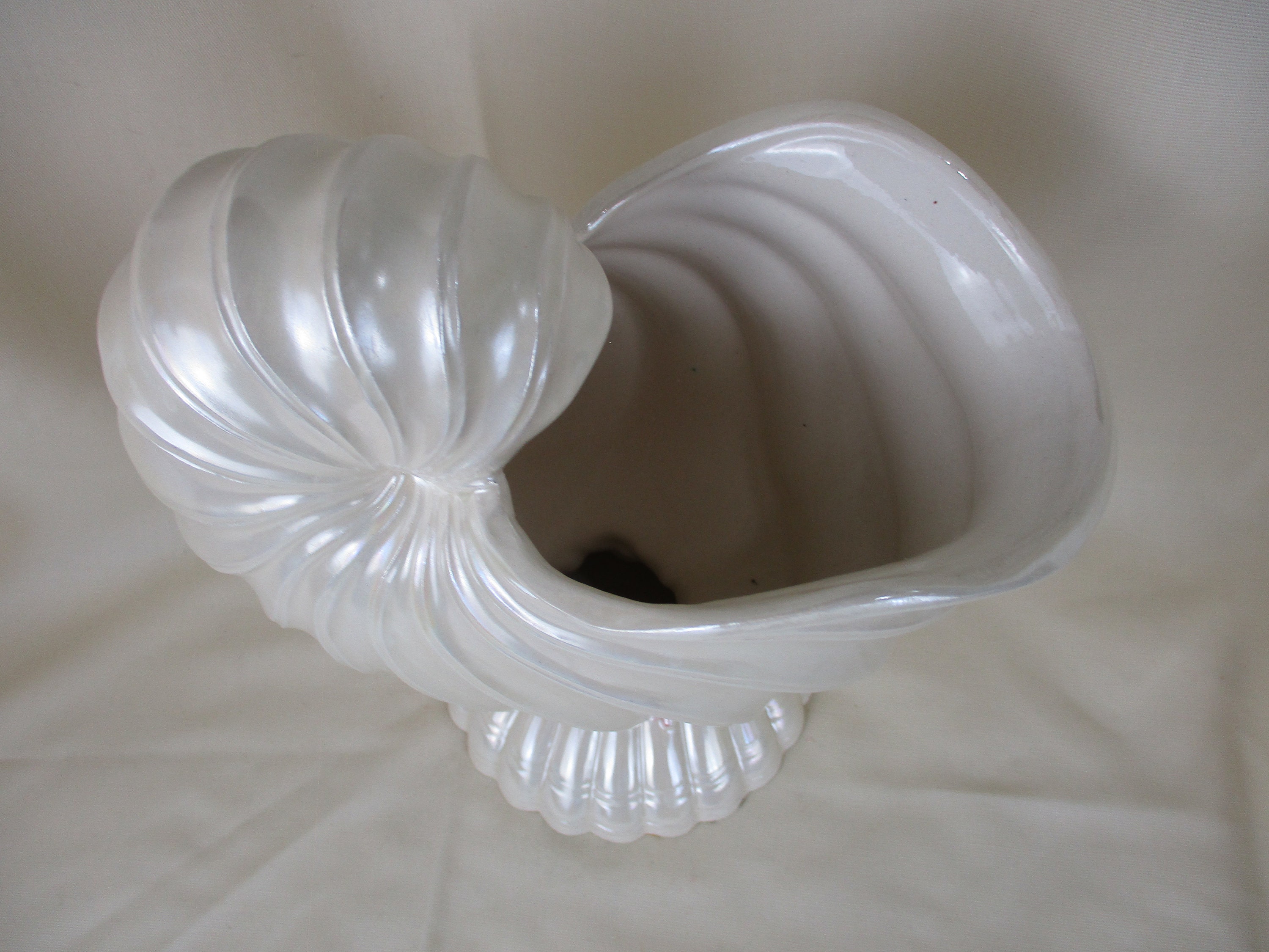 Marine Nautilus Shell Vase Seashell Coastal Decor Planter - Etsy