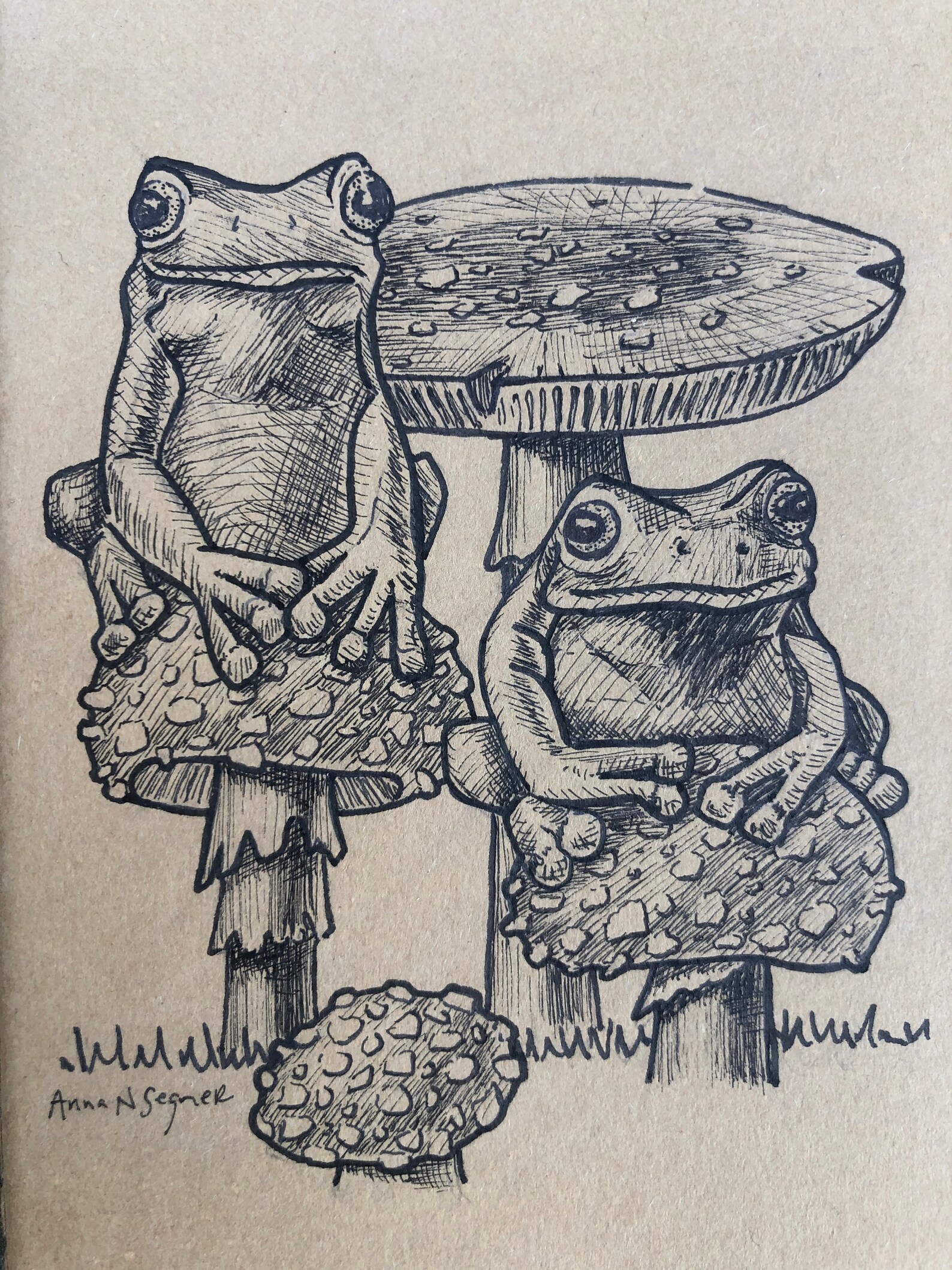 Frogs Journal: Handheld Journal With Hand-drawn (original) Illustration ...
