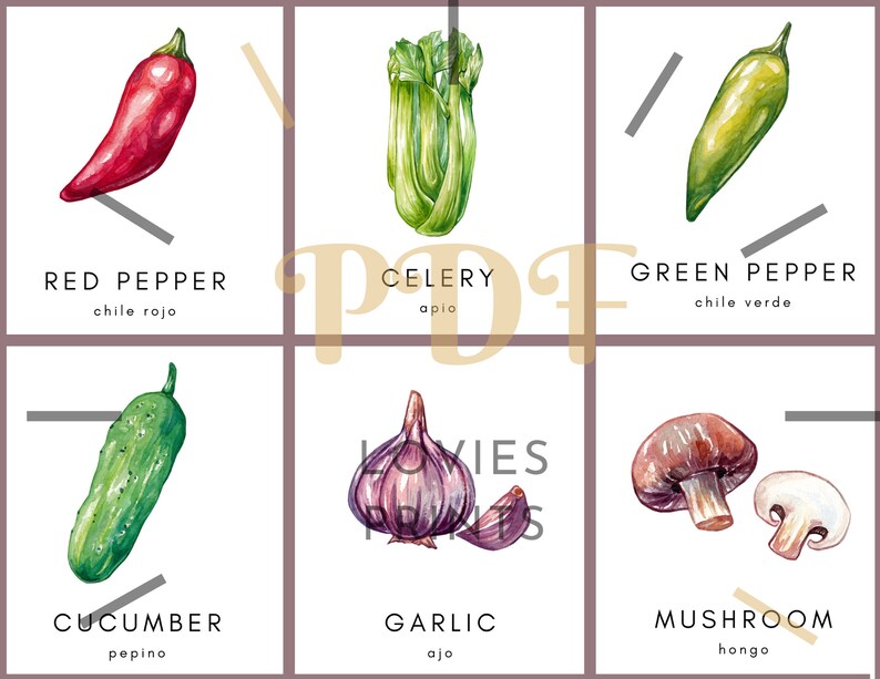 VEGETABLES FLASHCARDS PRINTABLE, English and Spanish, Vegetables ...
