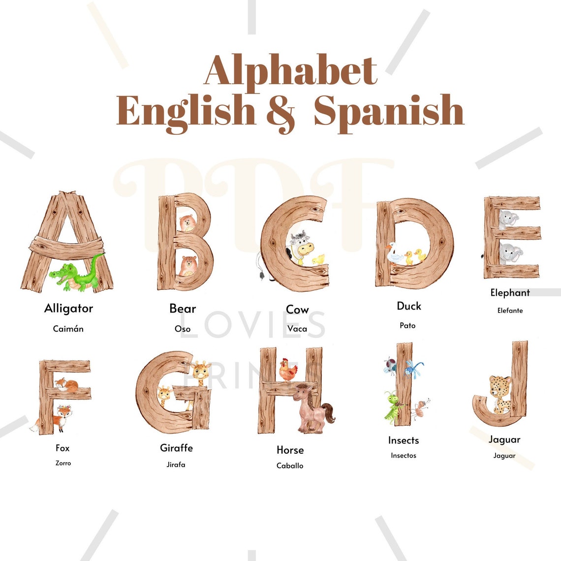 ALPHABET FLASHCARDS ALPHABET Animals, Montessori Cards, English ...