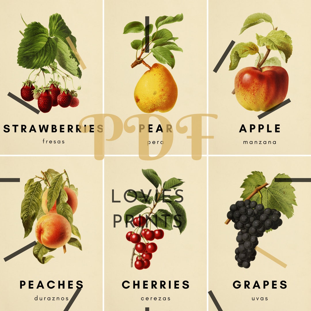 FRUIT FLASH CARDS, Vintage Fruits, English and Spanish, Montessori ...