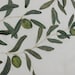Hand PAINTED CHUPPAH Wedding Canopy Olive Tree Design – Doubles as ...
