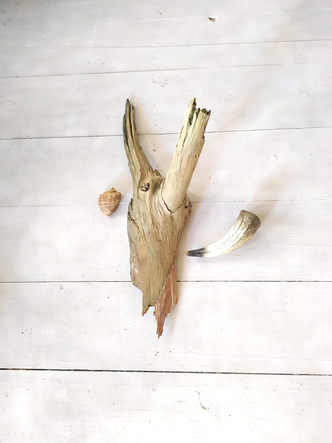Ghost Wood Branch Decor: Terrarium Driftwood, Wooden Chunks, Aquarium ...